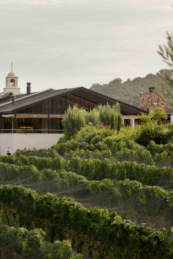 Tantalus Estate Vineyard – Premium Wines from Waiheke Island